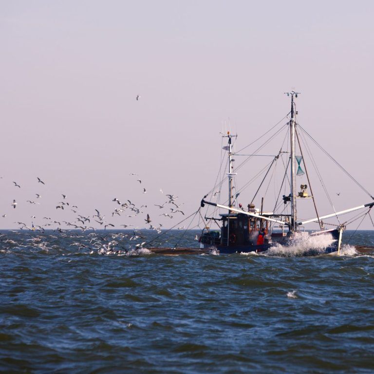 DOCUMENTALES SOBRE PESCA - Sergio Burillo Pesca