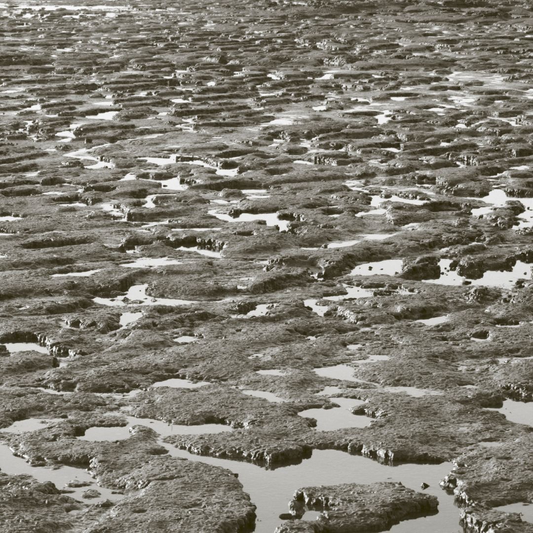 DOCUMENTALES SOBRE PESCA - Sergio Burillo Pesca