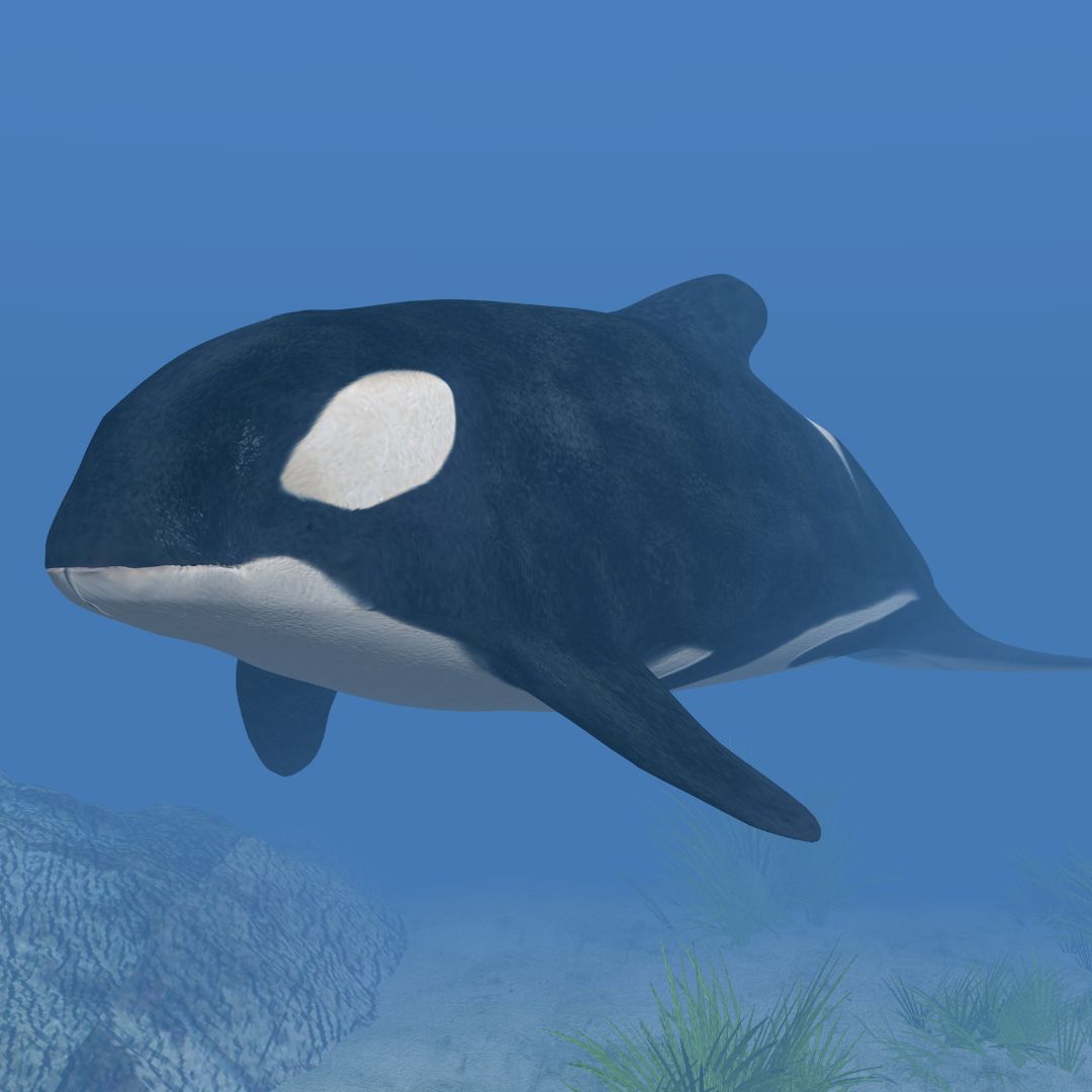 DOCUMENTALES SOBRE PESCA - Sergio Burillo Pesca