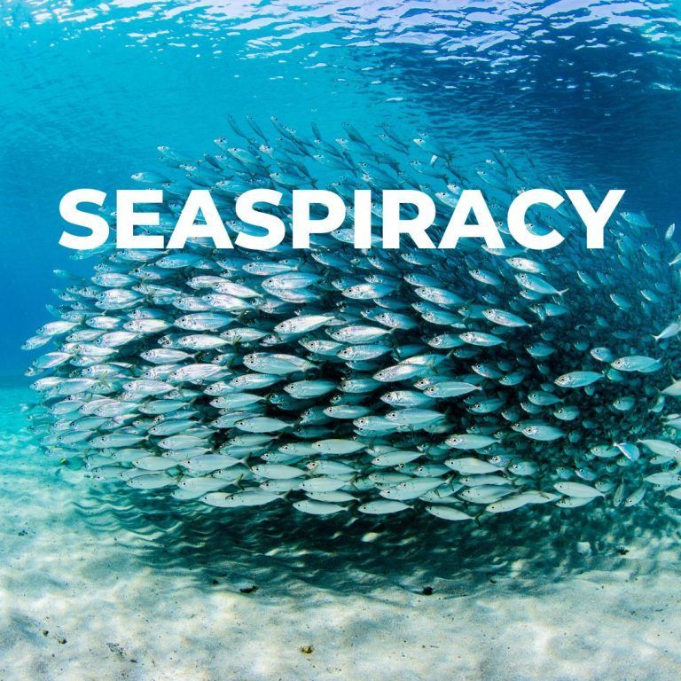 DOCUMENTALES SOBRE PESCA - Sergio Burillo Pesca