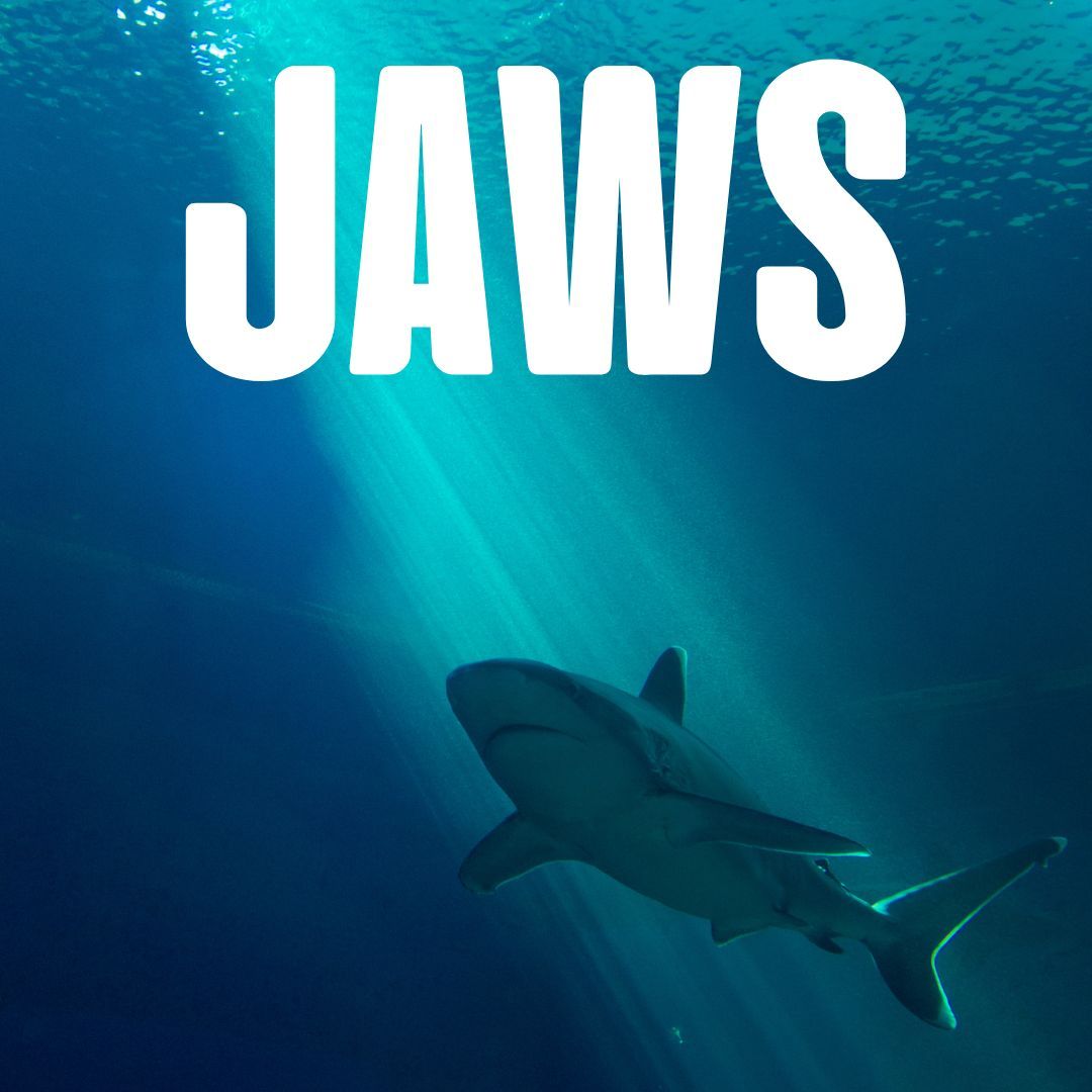 LIBROS RELACIONADOS CON LA PESCA - Sergio Burillo