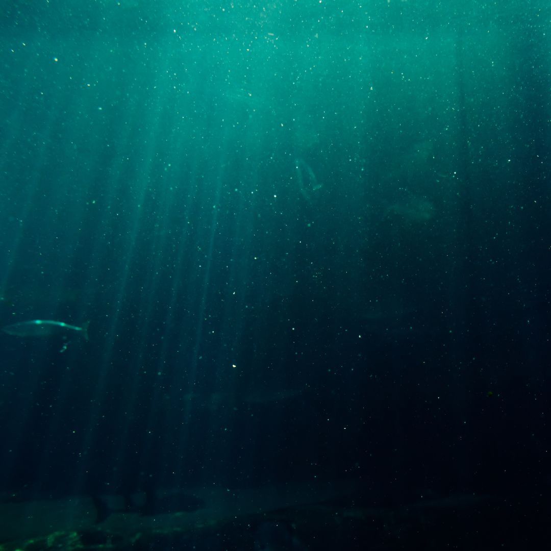 QUE SEÑUELOS SON MÁS EFECTIVOS PARA LA PESCA DEL CALAMAR - Sergio Burillo